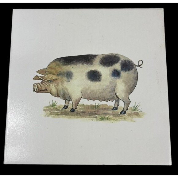 Unbranded | Kitchen | New Pig Tile 8x8 Decorative Trivet Hot Plate Art ...